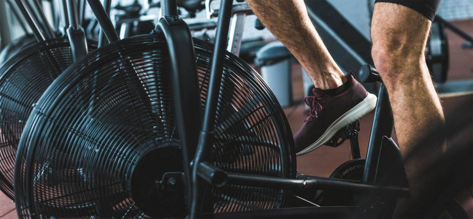 10 Best Airdyne Bikes For A High-Intensive Workout In 2021 In 2023