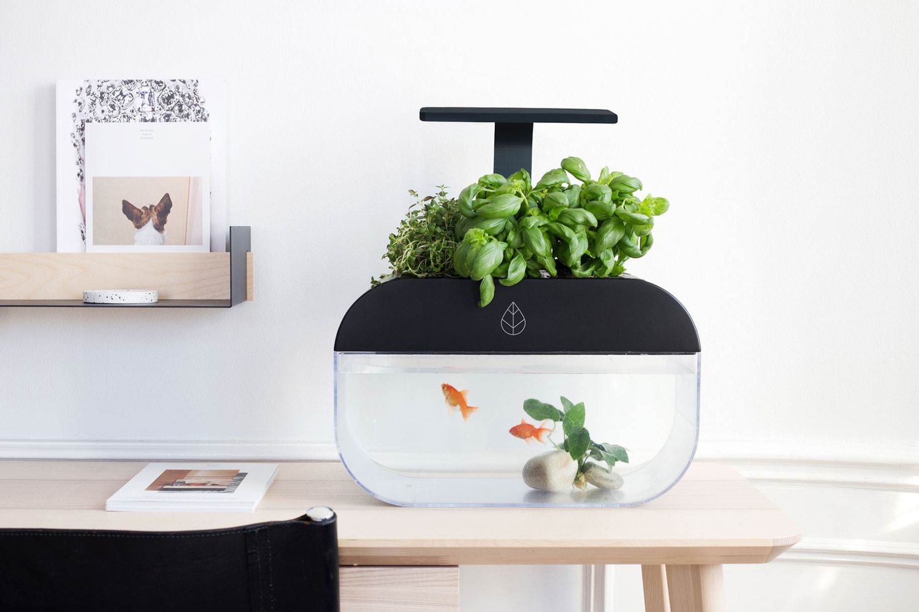 EcoGarden – The World’s Smartest Interactive Ecosystem