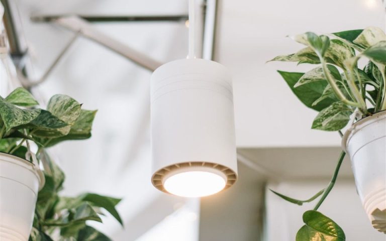 Nourish Indoor Plants Effortlessly with Soltech Small Grow Light ...